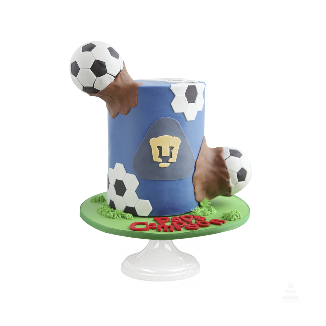 Pumas Dad Cake, pastel con decoración futbolera para cumpleaños – L ...